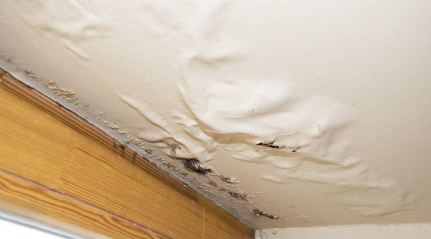 How to Remove and Fix Water Ingress and Repair Your Wall with Paint