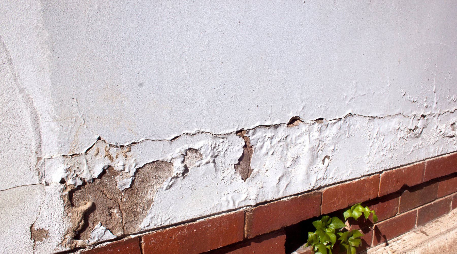 What is Rising Damp and How to Stop It?